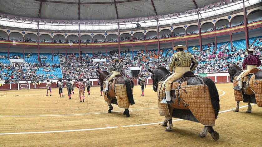 Comment expliquer la corrida : origines, controverses et son rôle culturel